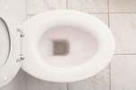 Toilet Bowl Not Filling with Water after Flush: Why and How to Fix